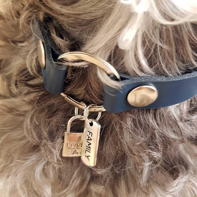 Collar decorativo para chapas o charms de perro hecho a medida – Petculiari